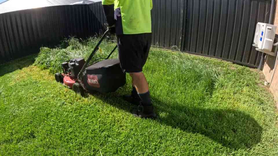Tall grass transformed with expert lawn mowing