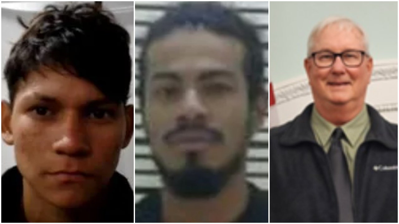 Undocumented immigrants charged after DUI crash that killed Illinois ...