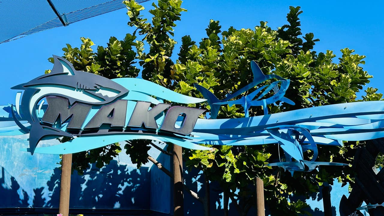 No duck, no lawsuit: SeaWorld Orlando claims woman hit by wild bird ...