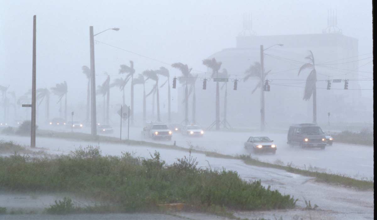 Urgent warning over crocodiles ‘fleeing Hurricane Melissa’
