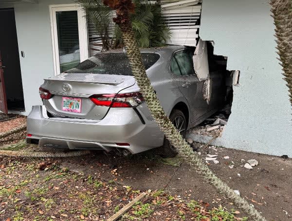 Florida Among Top 10 U.S. States Where Urban Speeding Fatalities Far ...