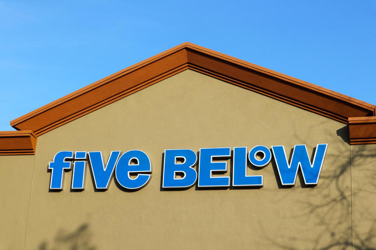 Five Below's Nifty Cat Perch Is Purr-fect for Bird Watching