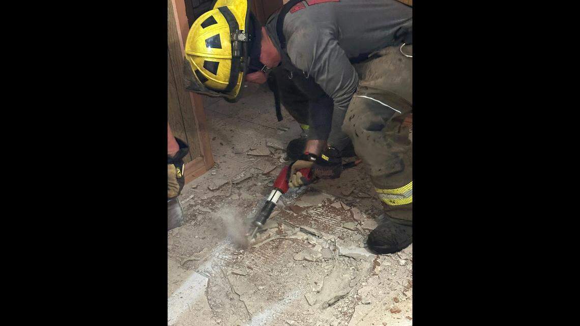 Dog named Rascal turns family's kitchen remodel into odd rescue ...