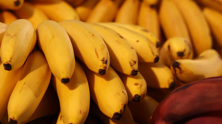 What Color Should Your Bananas Be For The Most Nutritious Bite?