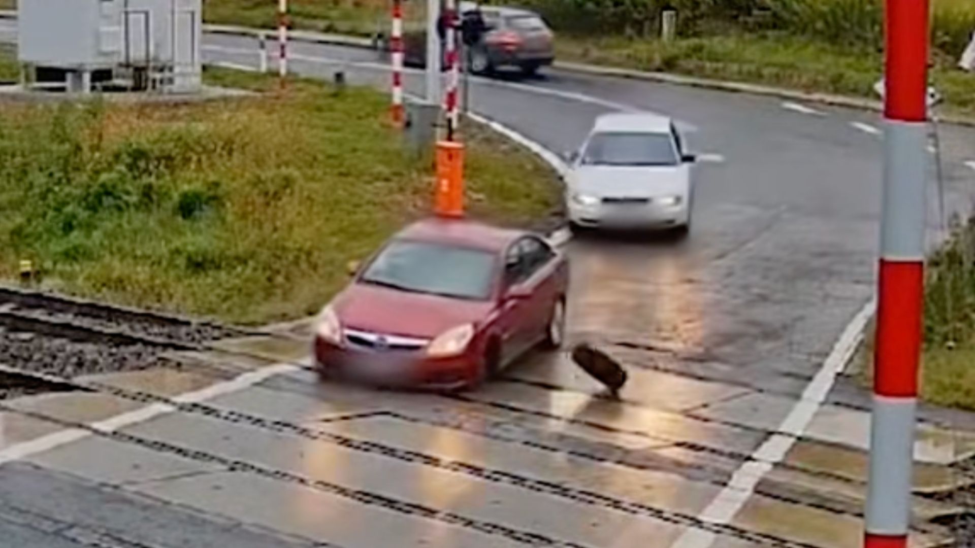 Quick-Thinking Officer Helps Rescue Car from Tracks Moments Before ...