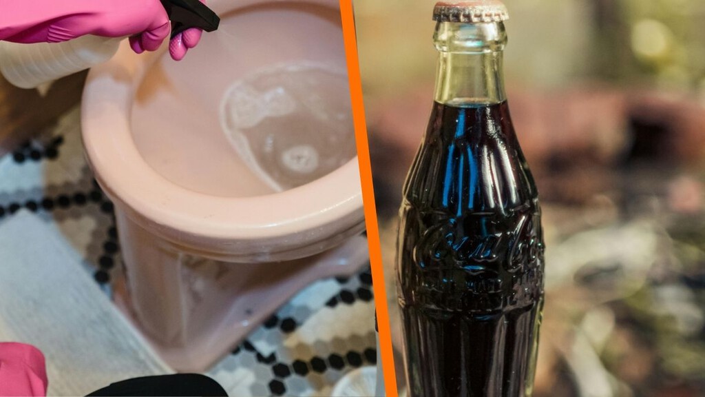 Muchos recomiendan usar una coquita para quitar el sarro del baño. No ...