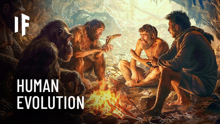 The entire history of human evolution explained
