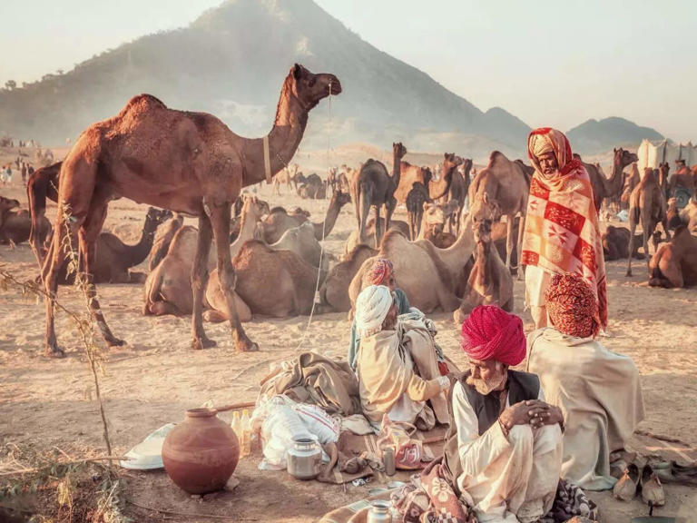 Pushkar Fair 2025 Day 1: ‘Chak de Rajasthan’ football match, Maha Aarti ...