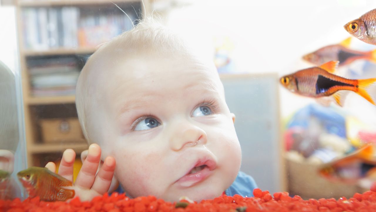 Diagnostic dilemma: A baby suddenly started to smell of rotting fish