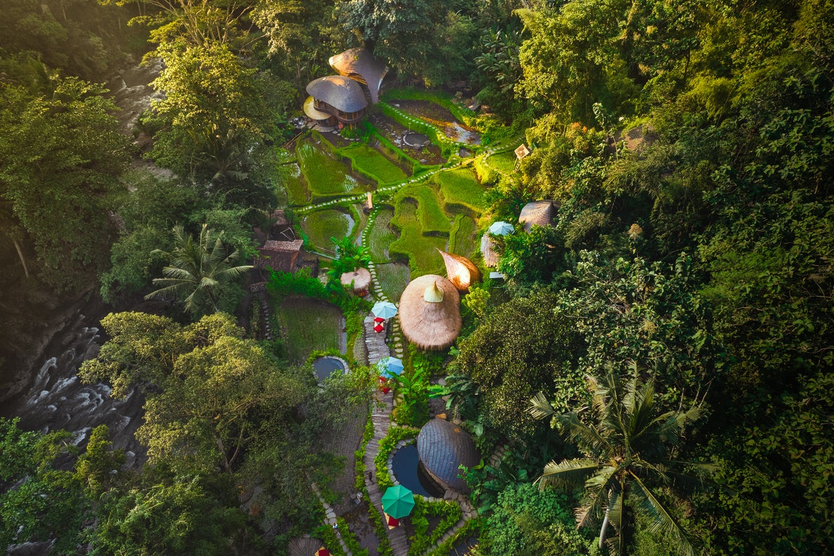 10 best hotels in Bali for wellness breaks to rural escapes