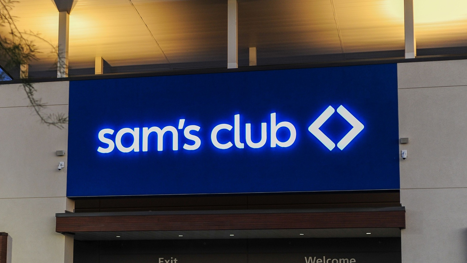10 Sam’s Club spring items the middle class needs to buy for under $20