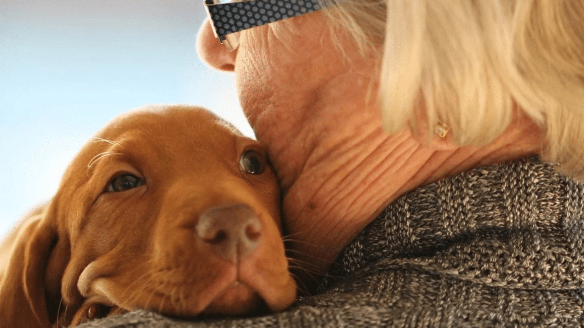 30 Dogs That Make Retirement Even Better
