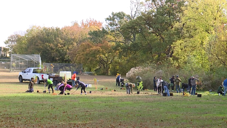 75 new trees planted in FDR Park in South Philly
