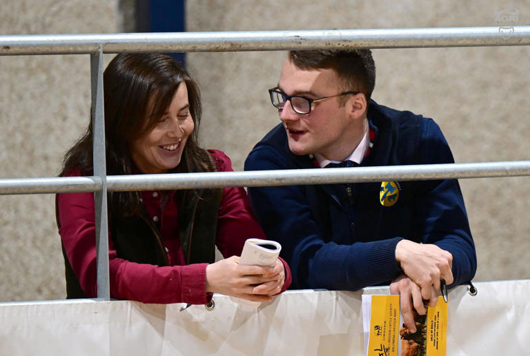 Buoyant trade as Limousin bulls sell to 12,000gns at Ballymena