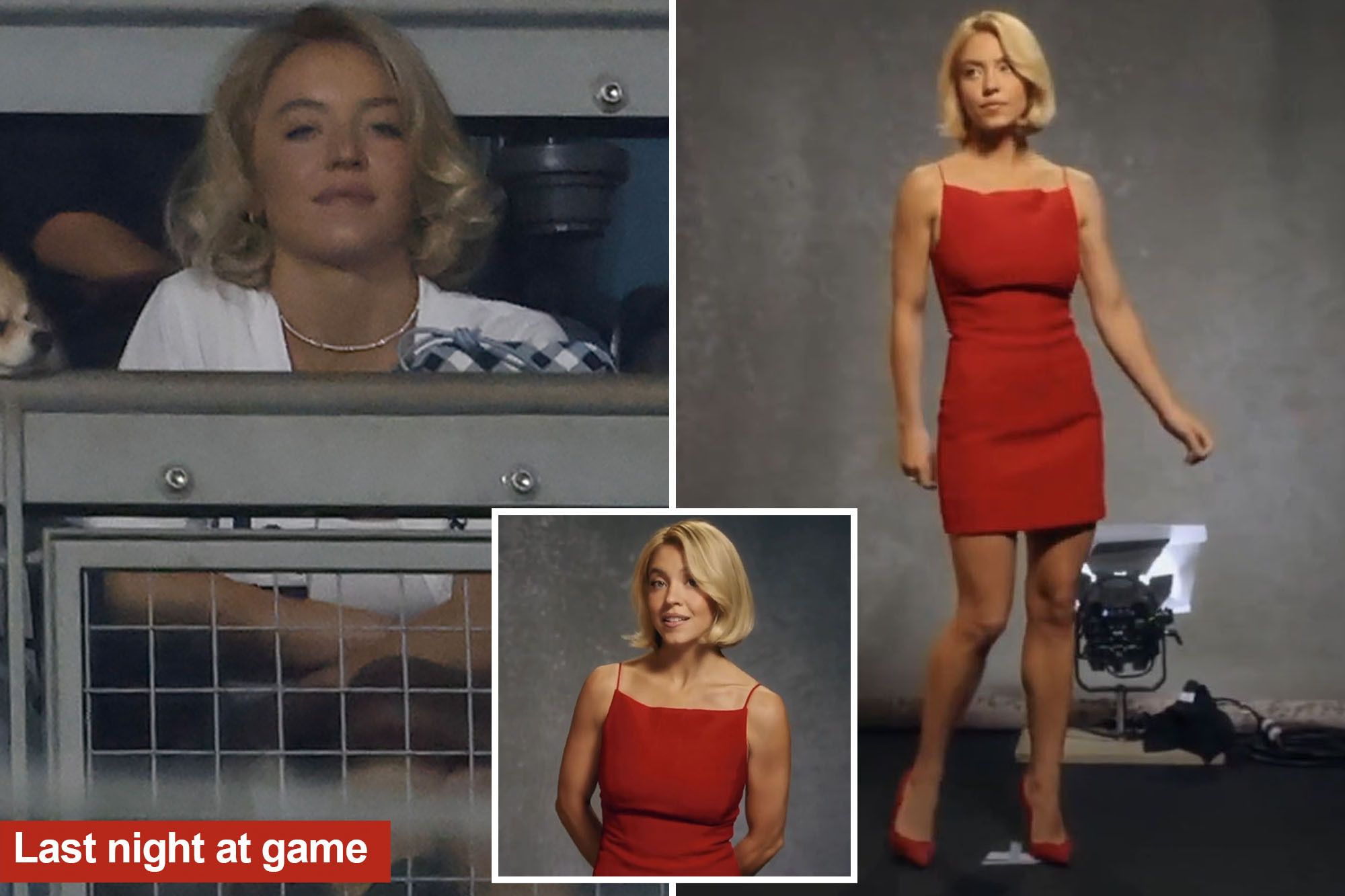 Sydney Sweeney causes liberal meltdown for the crime of making a cameo ...