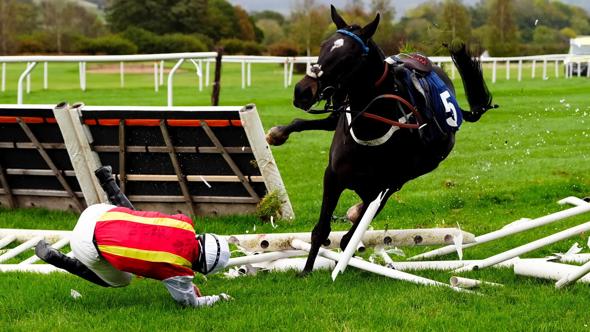 Paard en jockey breken door de hindernis: foto's van het ongeluk