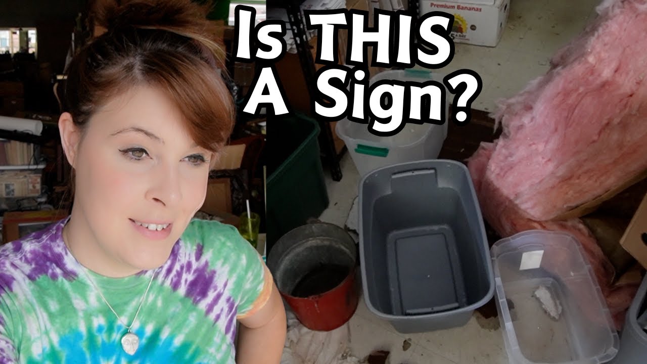 Is That a Sign? Behind the Scenes | Crazy Lamp Lady