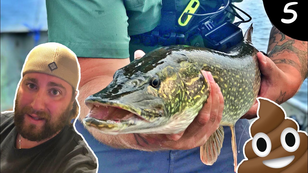 Insane northern pike fishing with spoons - and I almost lost it!