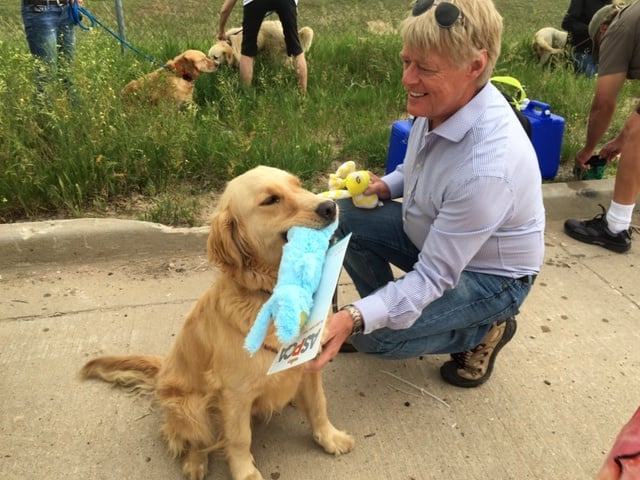 30 Dogs That Make Retirement Even Better