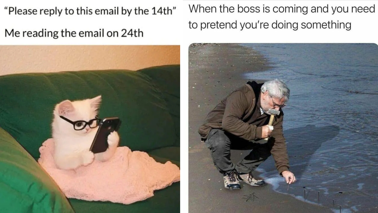 30 Funniest Work Memes to Get You Through The Day