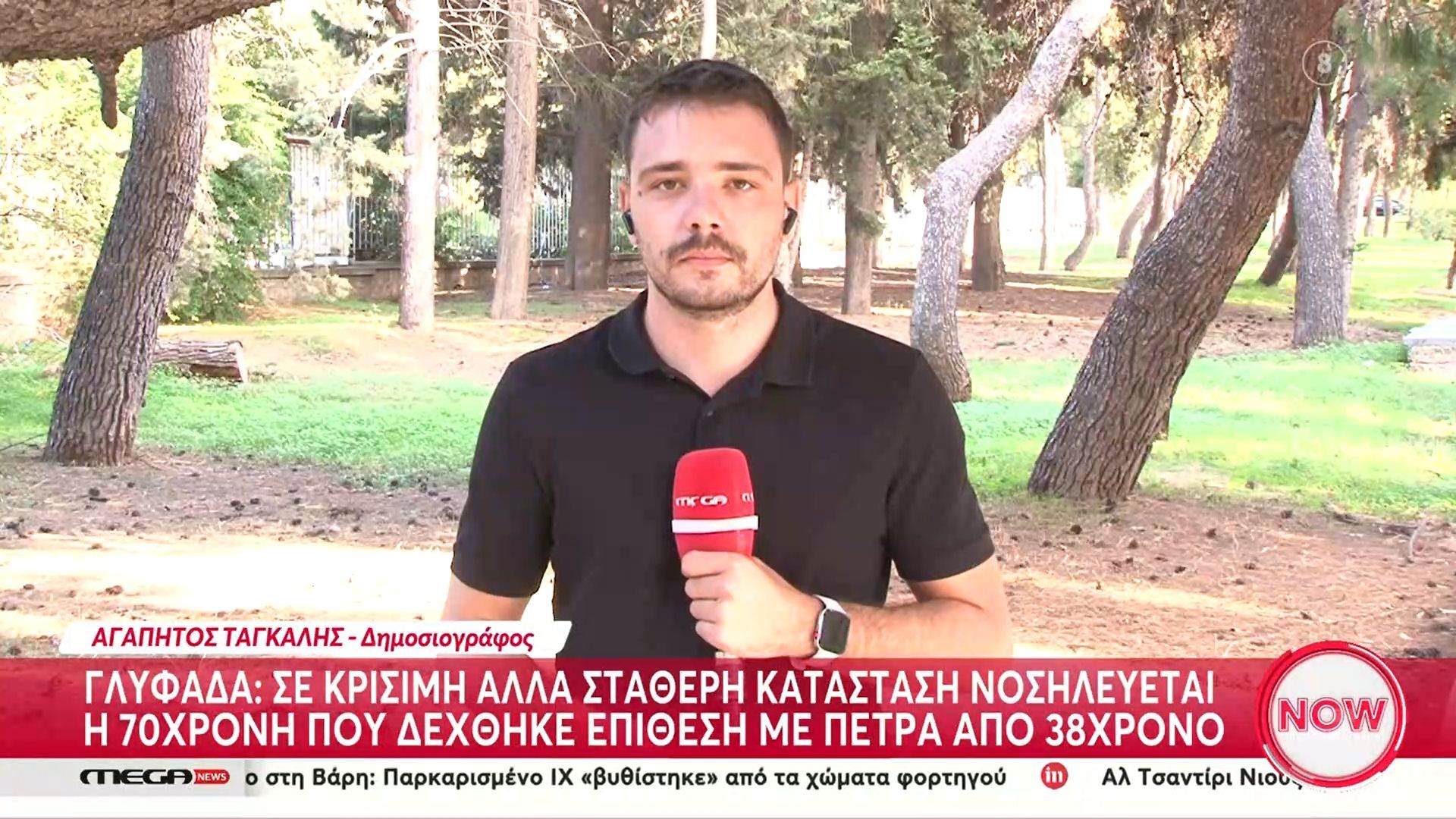 Σε κρίσιμη αλλά σταθερή κατάσταση νοσηλεύεται η 70χρονη που δέχθηκε ...