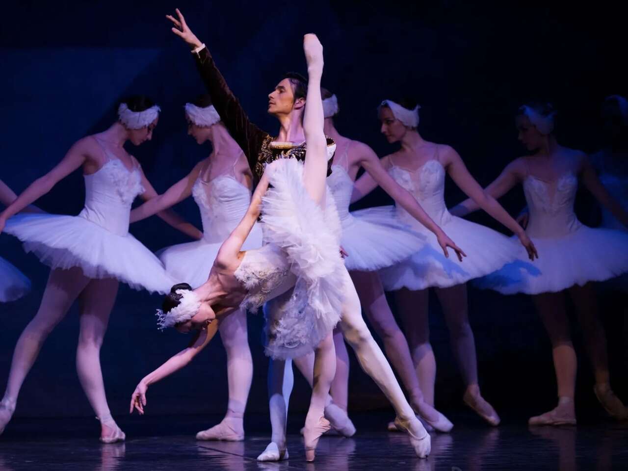 5 things you might not know about ‘Swan Lake'