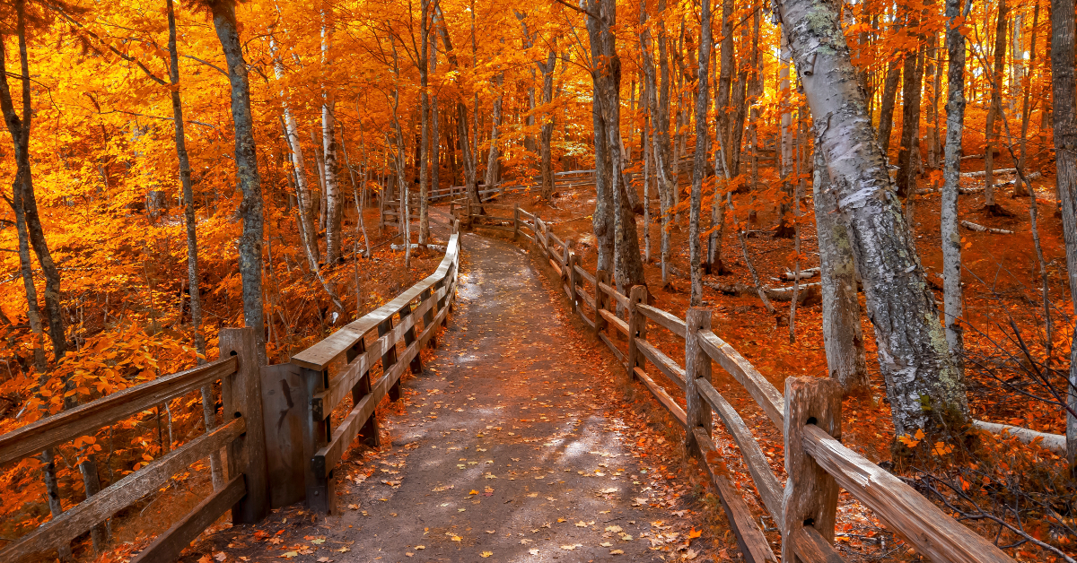 10 Budget-Friendly Remote Cities for Retirees Who Enjoy Peace and Quiet