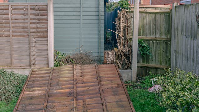 Neighbors get in furious dispute over fence