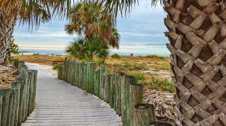 Avoid Clearwater Beach Crowds At This Underrated Florida Sandbar With ...