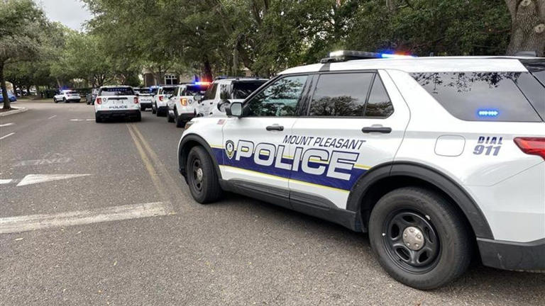 Mount Pleasant police rescue driver after vehicle plunges into pond