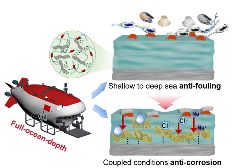 Deep-sea coating offers antifouling and anticorrosion protection in ...
