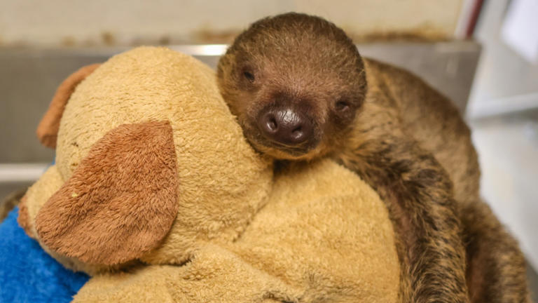 You’re going to need a bigger enclosure: Roger Williams Park Zoo names ...