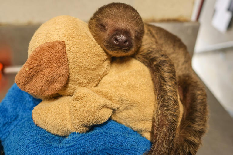 You’re going to need a bigger enclosure: Roger Williams Park Zoo names ...