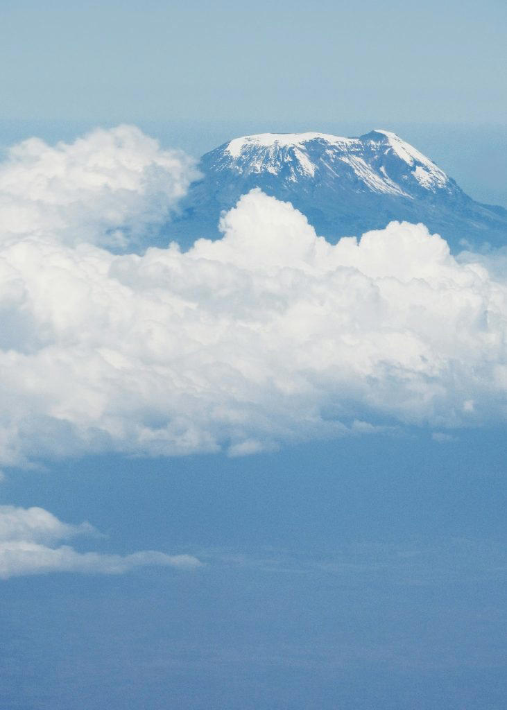 Mount Kilimanjaro lost 75% of its plant species over last 100 years