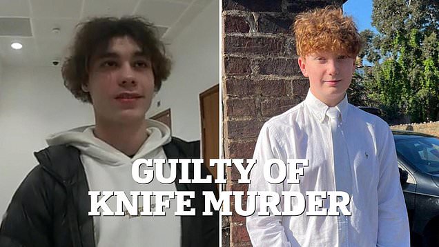 New Year's Eve reveller guilty of murder of teen watching midnight ...