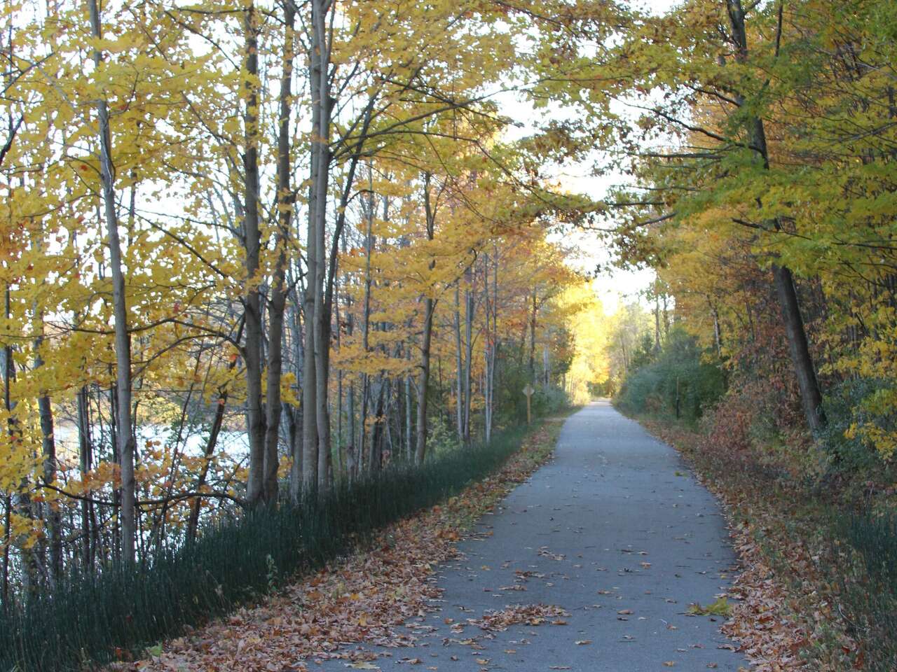 Benzie County approves new rules for public property