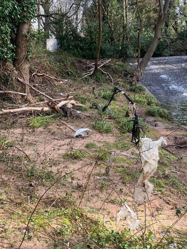 Frustrated hiker shares photo of upsetting discovery in local forest ...