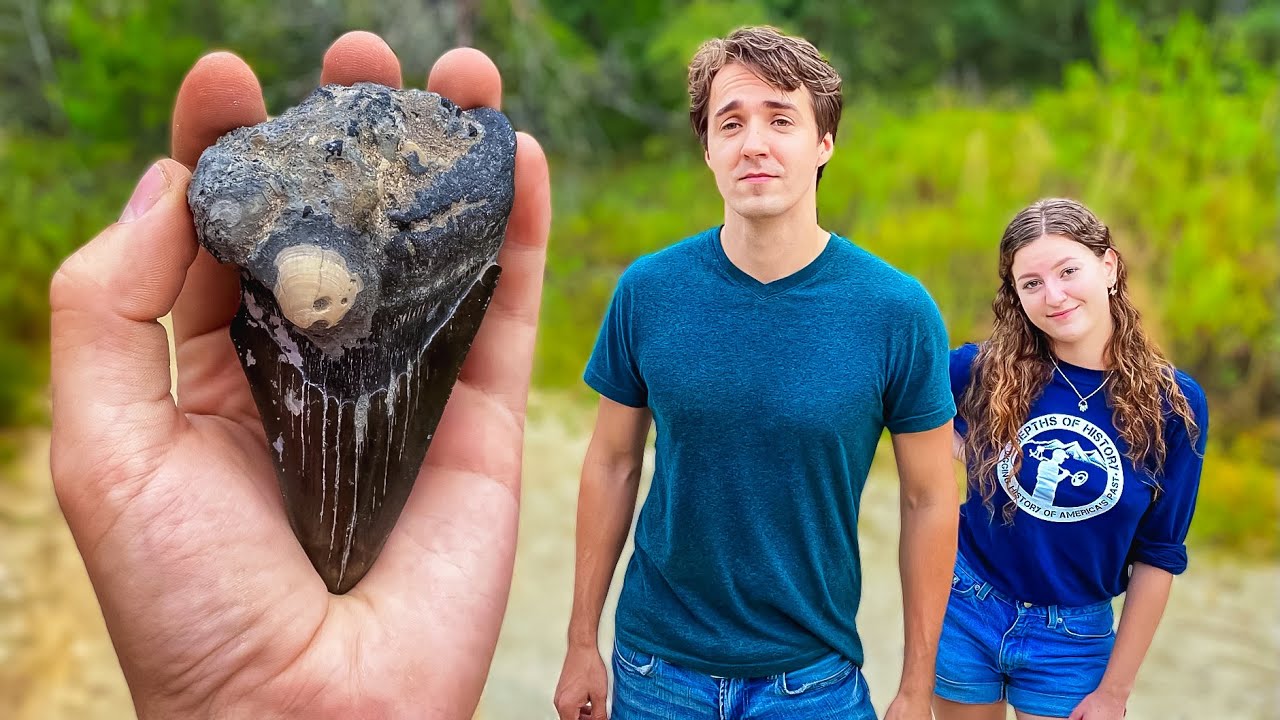 I found a massive megalodon tooth! 🦈