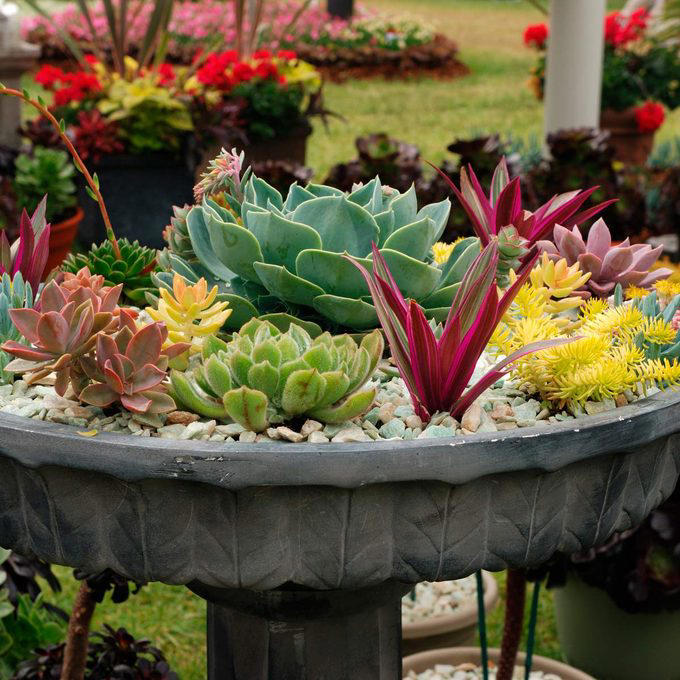 River Rock Landscaping Ideas We Love