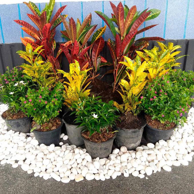River Rock Landscaping Ideas We Love