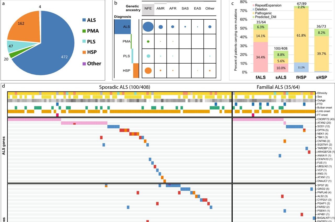Common Genetic Causes Across Motor Neuron Diseases Identified 6863
