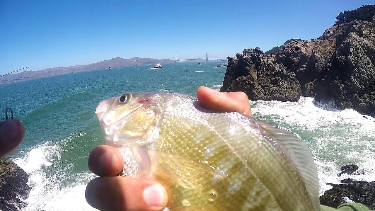 I never expected to catch perch here! 🎣