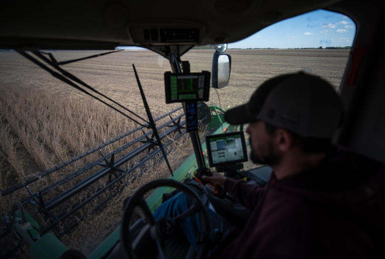 Minnesota soybean farmers fear lasting scars from Trump’s trade war ...