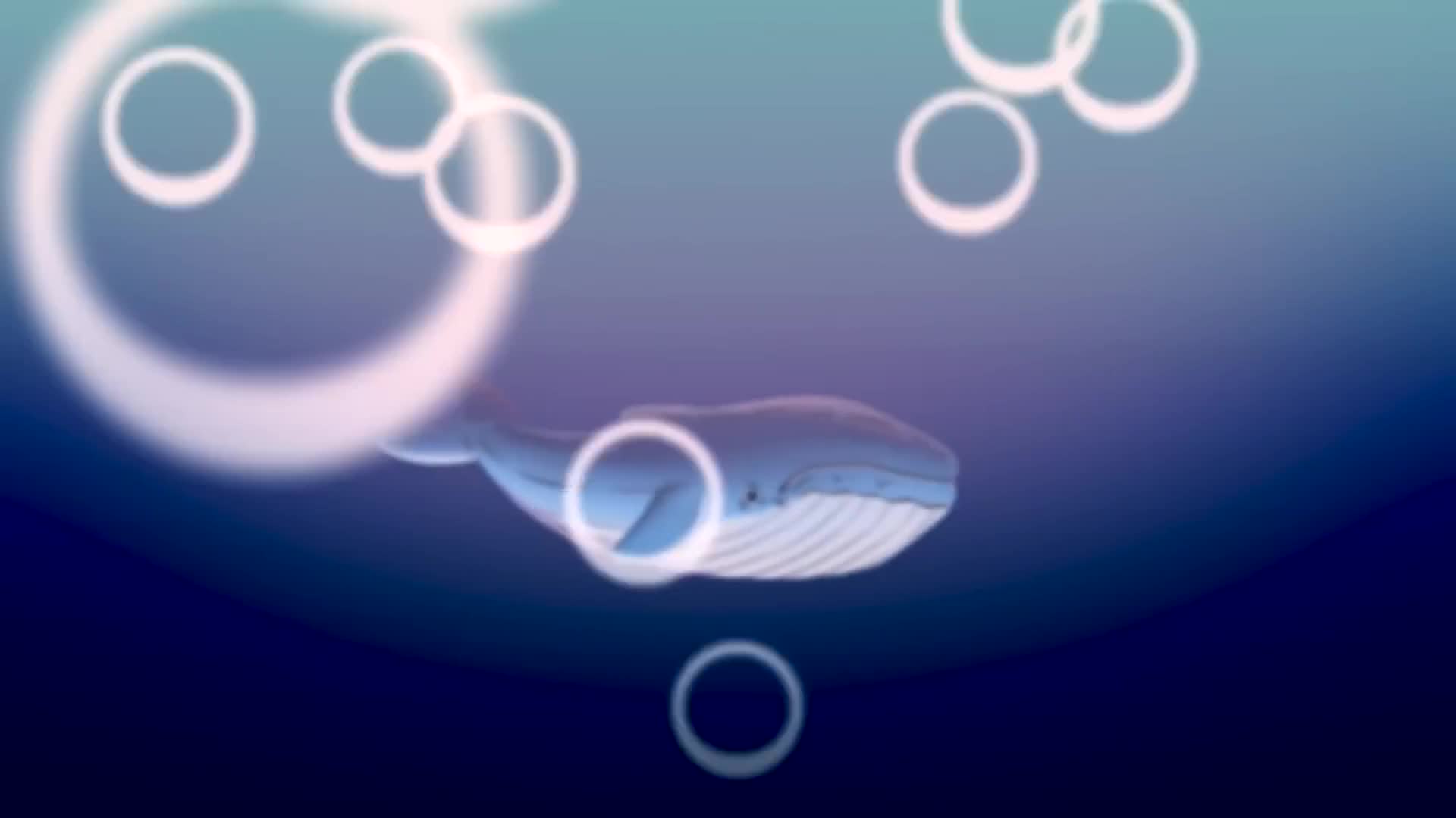 I can’t believe what I saw in space!