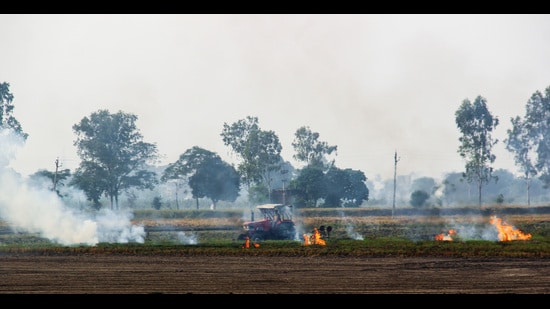 At 283, Punjab logs highest single-day spike in farm fires