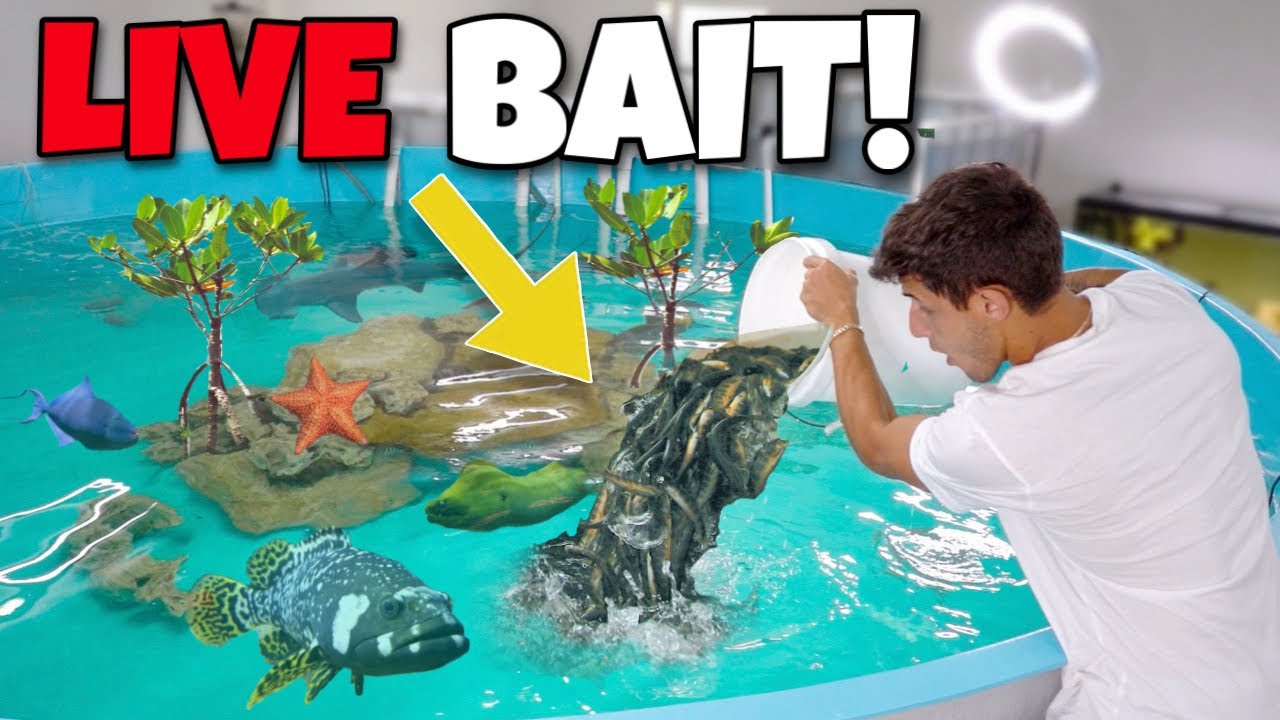 I dumped dozens of live fish! 🐟