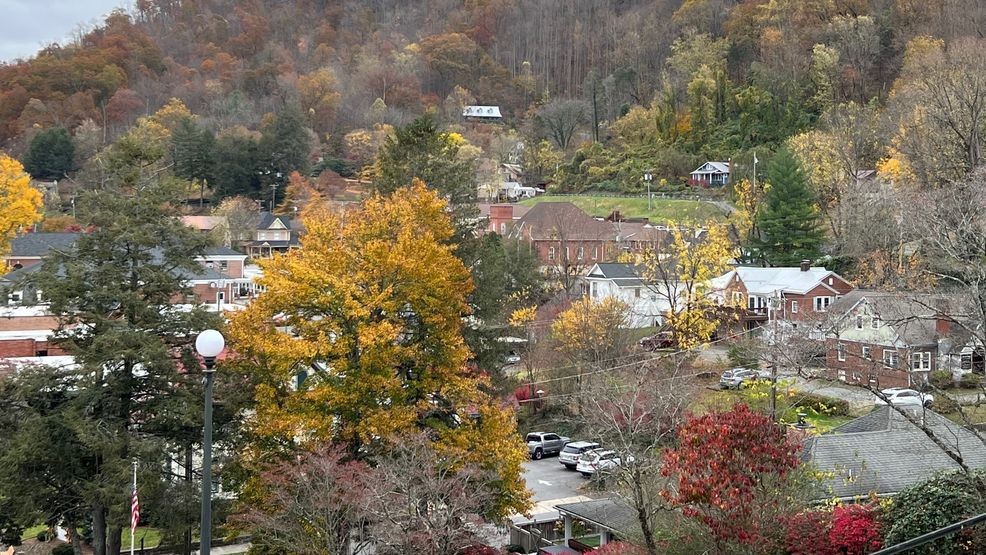 Jackson County welcomes first all-accessible certified forest therapy trail
