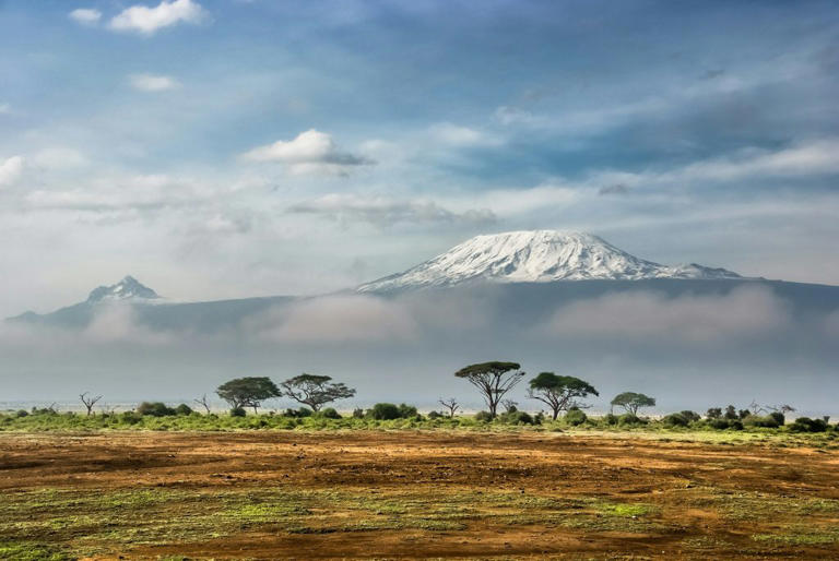 Mount Kilimanjaro lost 75% of its plant species over last 100 years
