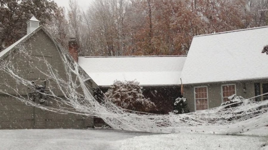 Remembering the 2011 October snowstorm 14 years later