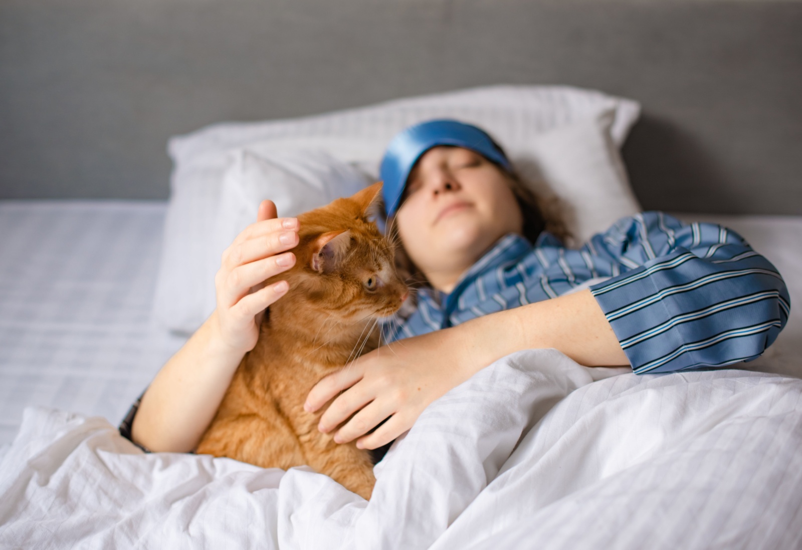 7 Signs Your Cat Thinks You’re His Servant And He’s The Real Boss